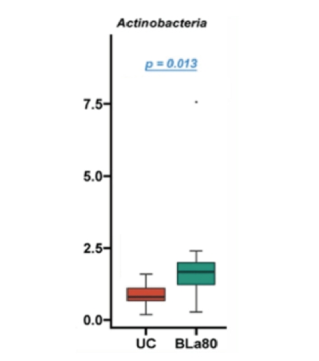 Wecare Bifidobacterium Animalis Subsp. Lactis Bla80 | Probiotic Supply