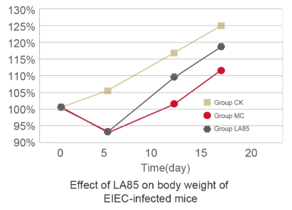 Lactobacillus Acidophilus La85 Probiotic | Wecare Supply & Manufacturing