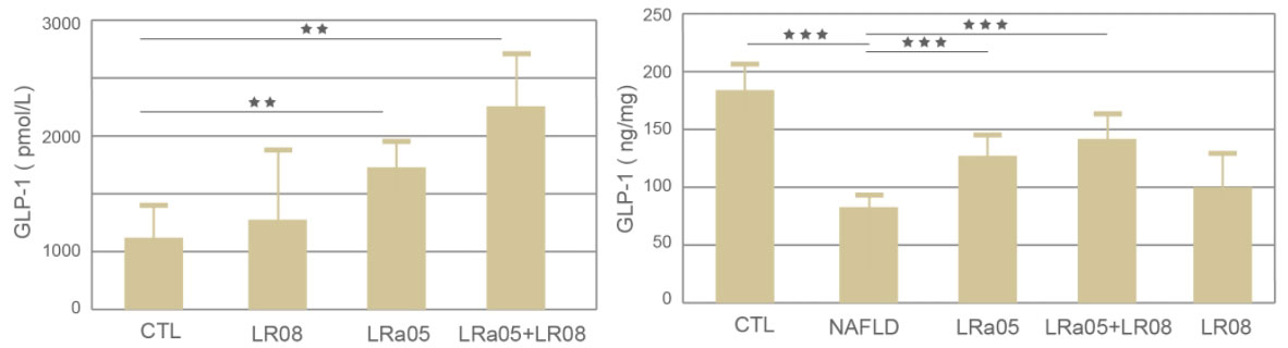 Lacticaseibacillus Rhamnosus Lra05 Probiotic | Wecare Supply & Manufacturer